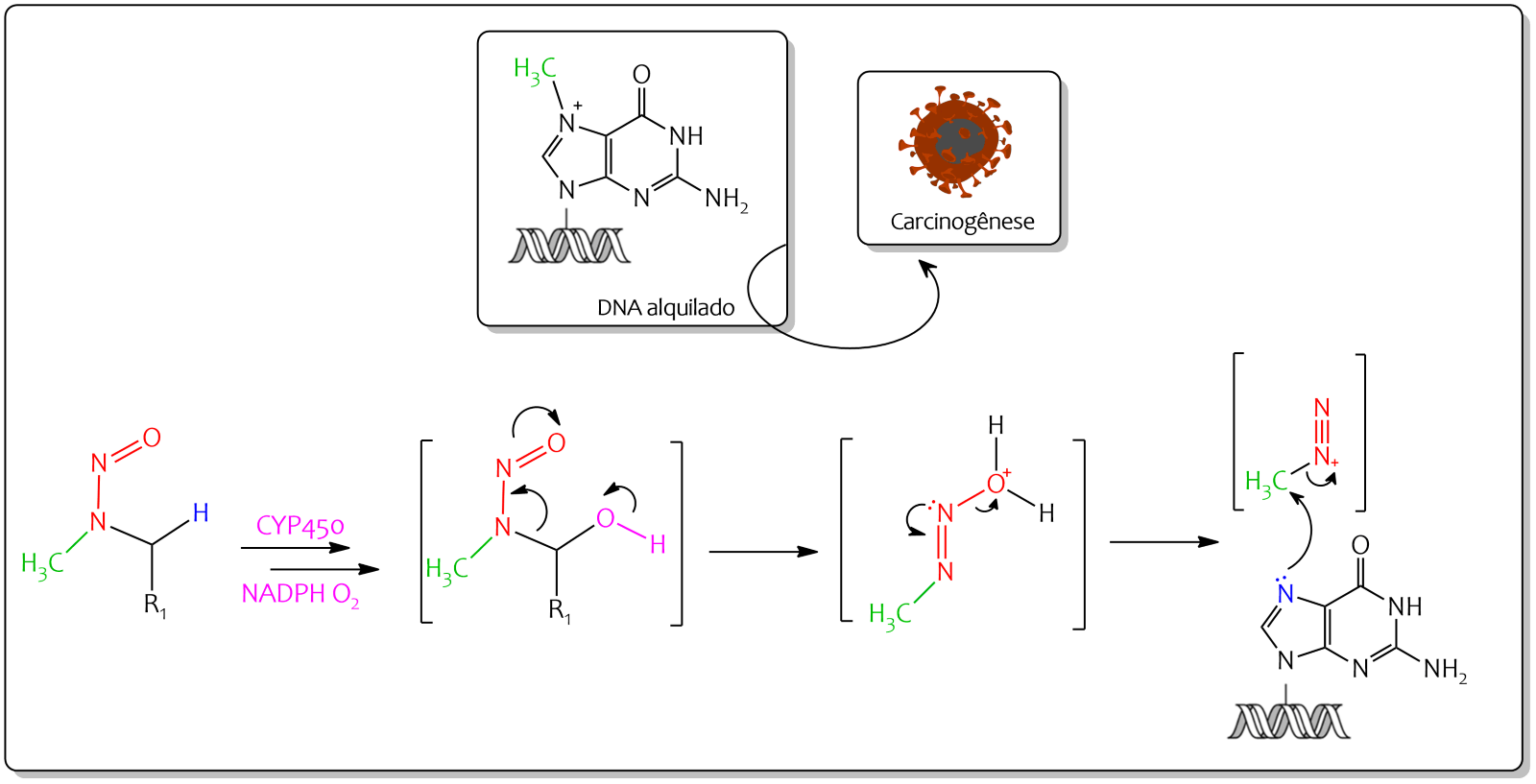 O que são nitrosaminas? - SCIENCE CONSULT | Consultoria Analítica e ...